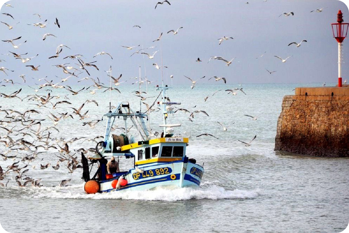 Life Insurance for Commercial Fishermen + YouTube Video